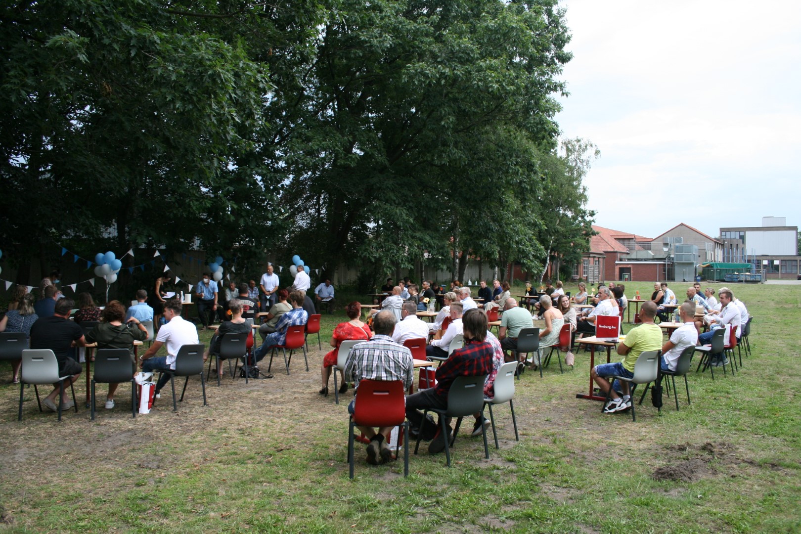 Proclamatie | Provil