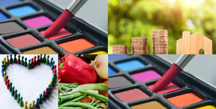 Nieuwe opties in het 1ste jaar | Provil