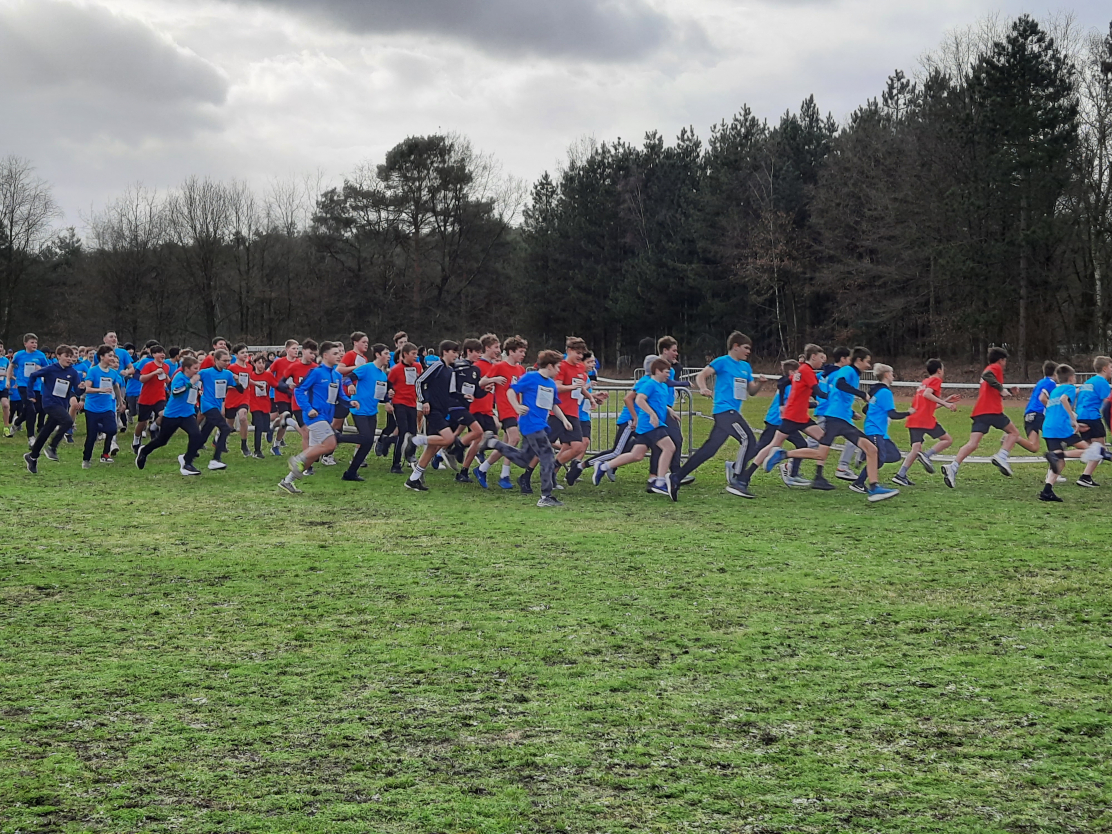 Resultaten 65ste Cross der Jongeren | Provil